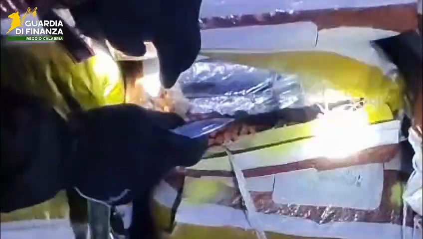 Oltre 435 chili di cocaina nascosta tra le noccioline: il sequestro nel ...