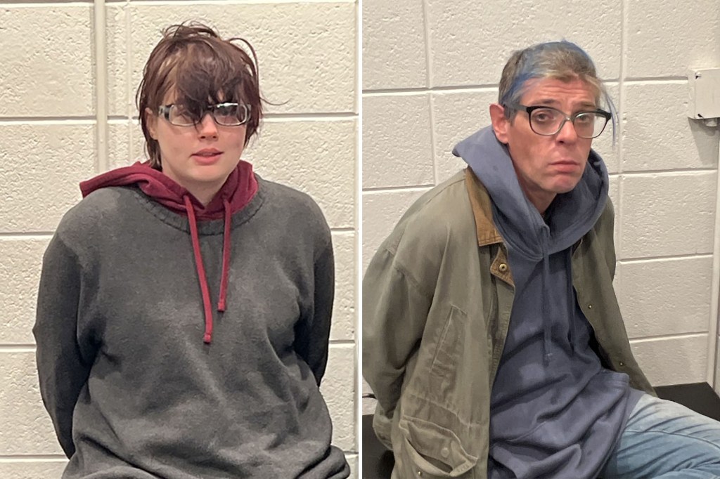 ‘Slender Man’ stabber Morgan Geyser sent back to mental institution ...