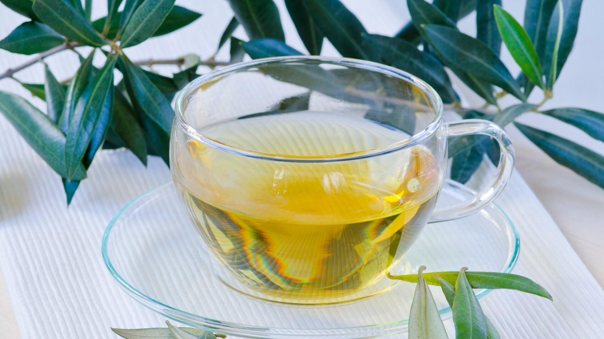 Olivenblätter-Tee soll heilende Wirkung haben: So gießen Sie ihn ...