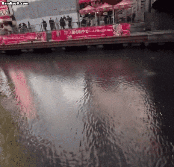Mysterious fish swarm in Osaka river sparks earthquake fears