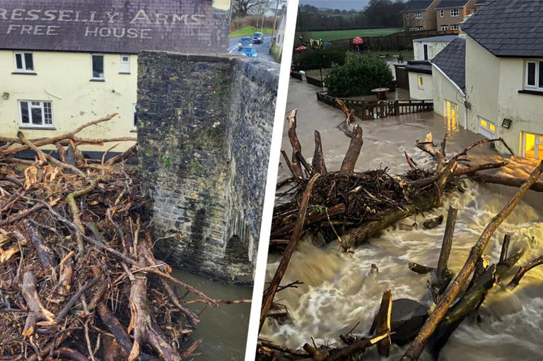 Solution to 'beaver dam' bridge desperately needed in village