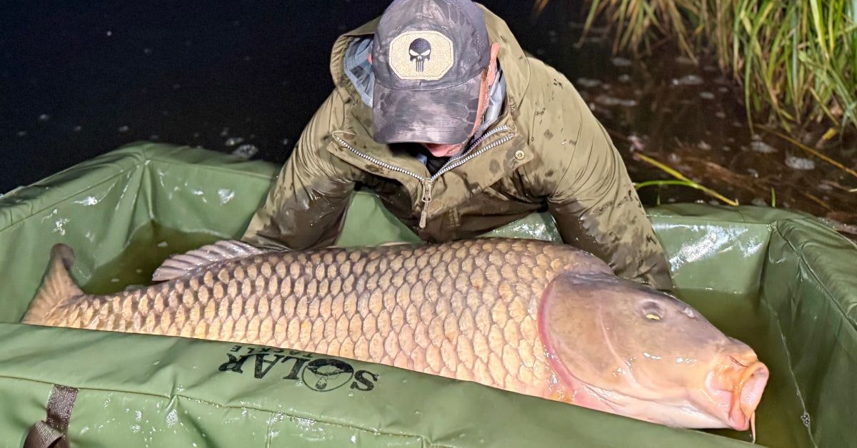 One of the world’s biggest carp has been caught