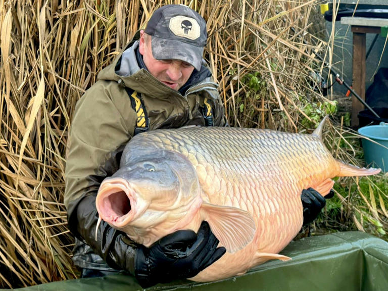 One of the world’s biggest carp has been caught