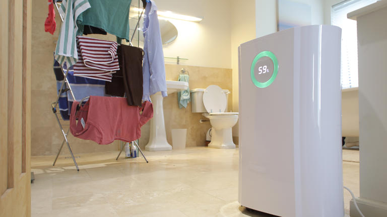 What moisture level should I set my dehumidifier at? Plus 4 more tips ...