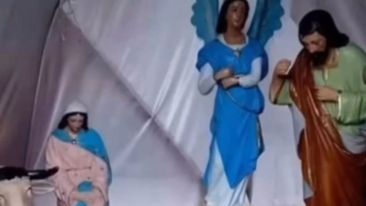 A Christmas 'miracle' as puppy curls up in the church's nativity scene