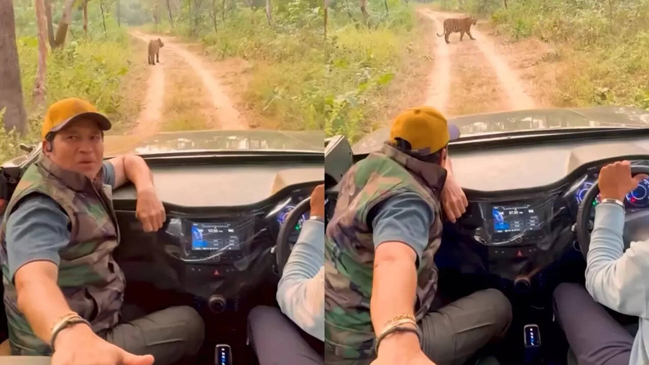 Sachin Tendulkar's trip to Tadoba: Lessons kids can learn from him