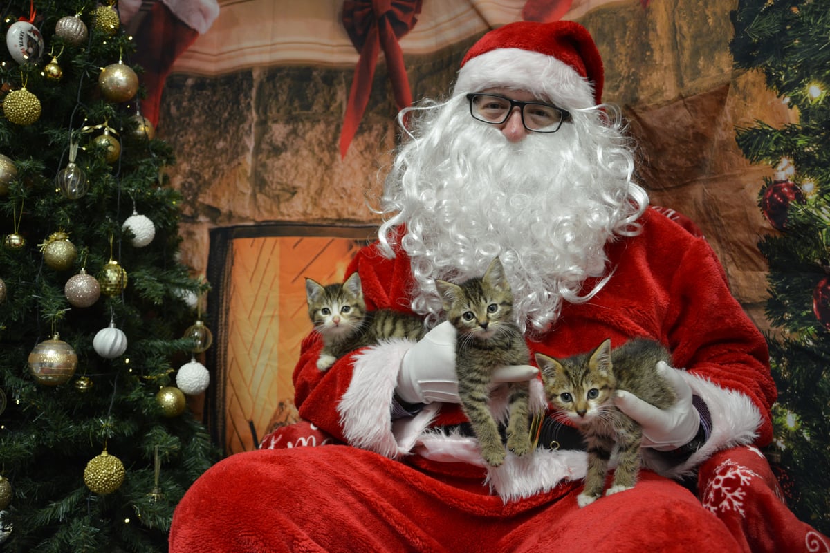 Santa tracker live: Follow Father Christmas’s journey around the world
