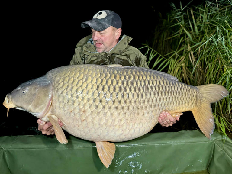 One of the world’s biggest carp has been caught
