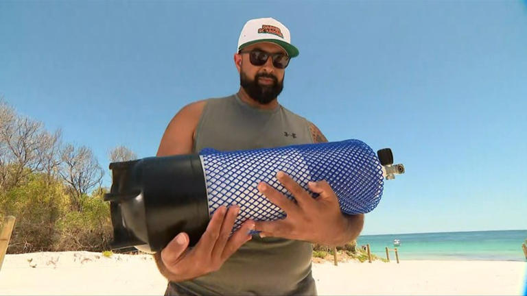 Diver’s horror 10-minute shark standoff