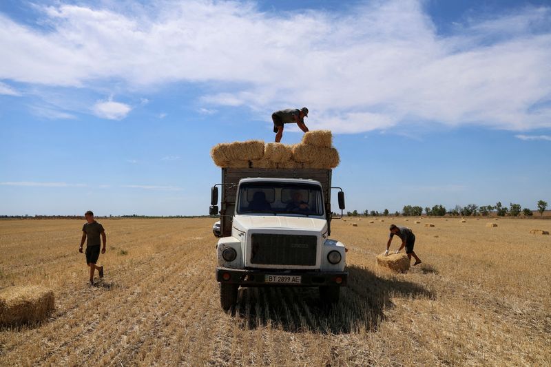 Russian attacks on Ukrainian ports cause drop in food exports