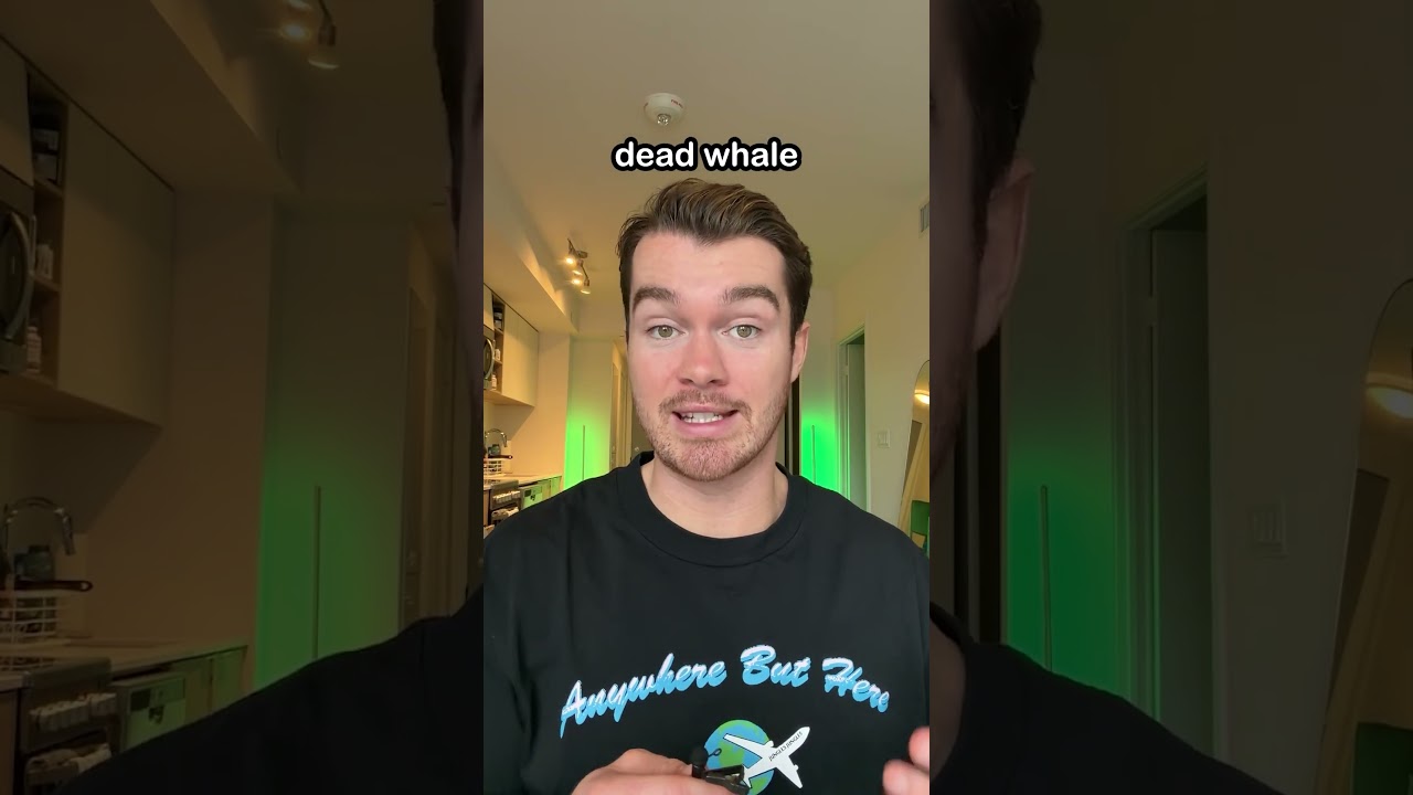 The exploding whale of Oregon