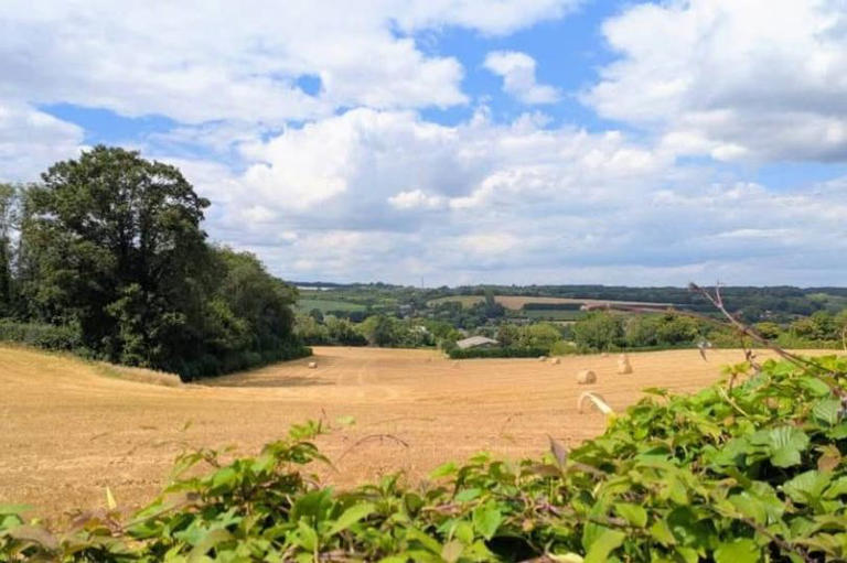 'Crops not concrete' protest as Kent village earmarked for 170 more homes