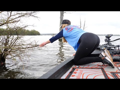 Lake monster caught with tree in epic massive fishing event