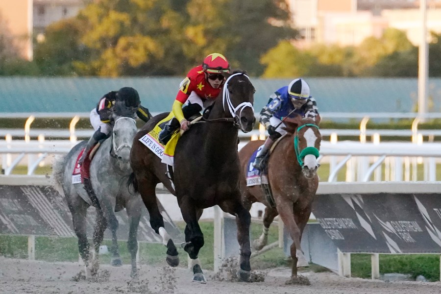 Horse racing proposal filed in Senate