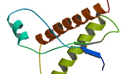 5 scientific predictions that once sounded absurd - but came true