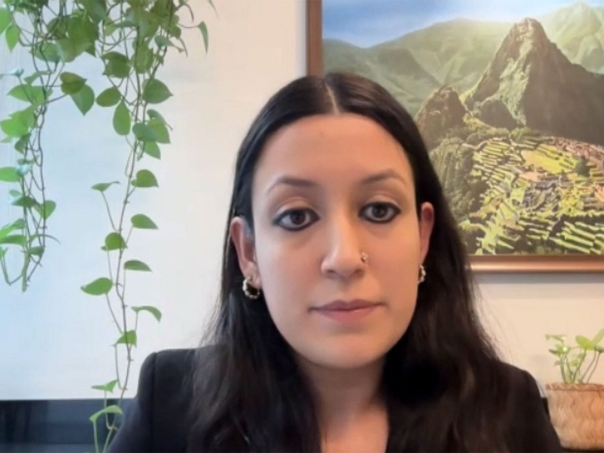 India's critical minerals mission directionally right but moving slower ...