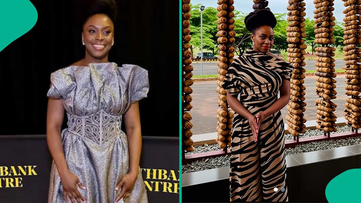 Is it true that UNN appointed Chimamanda Adichie as a visiting ...