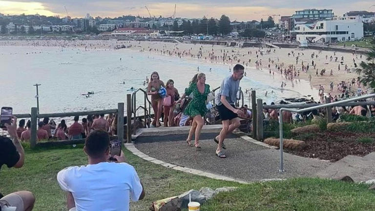 Fuir, se cacher, prévenir, intervenir : quel comportement faut-il ...