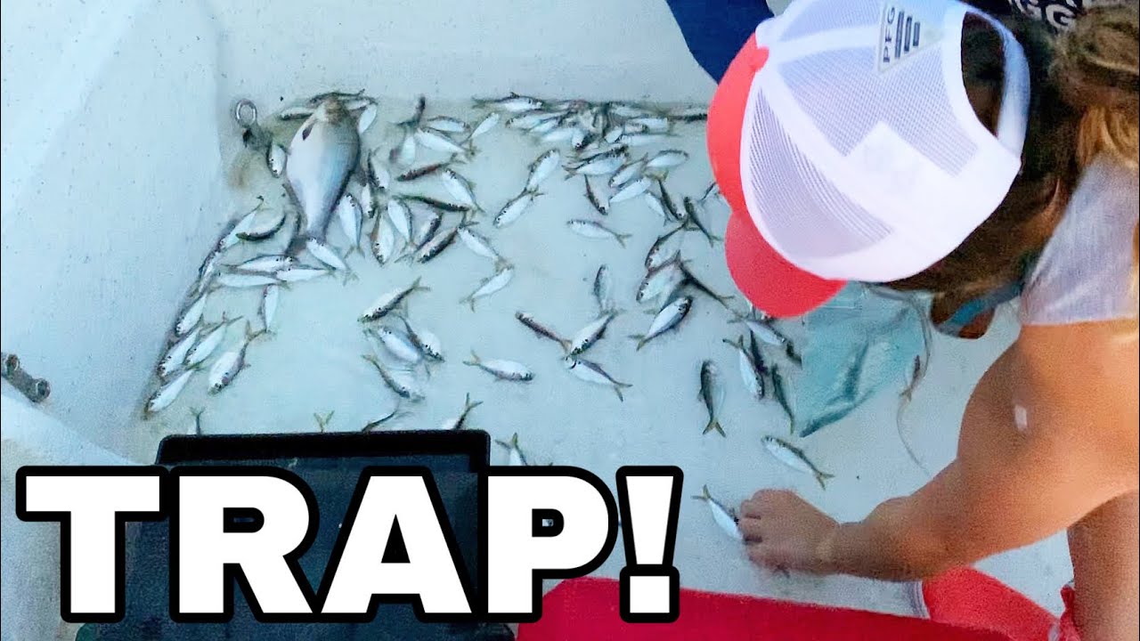 Giant net trap hauls in tons of bait for monster fish