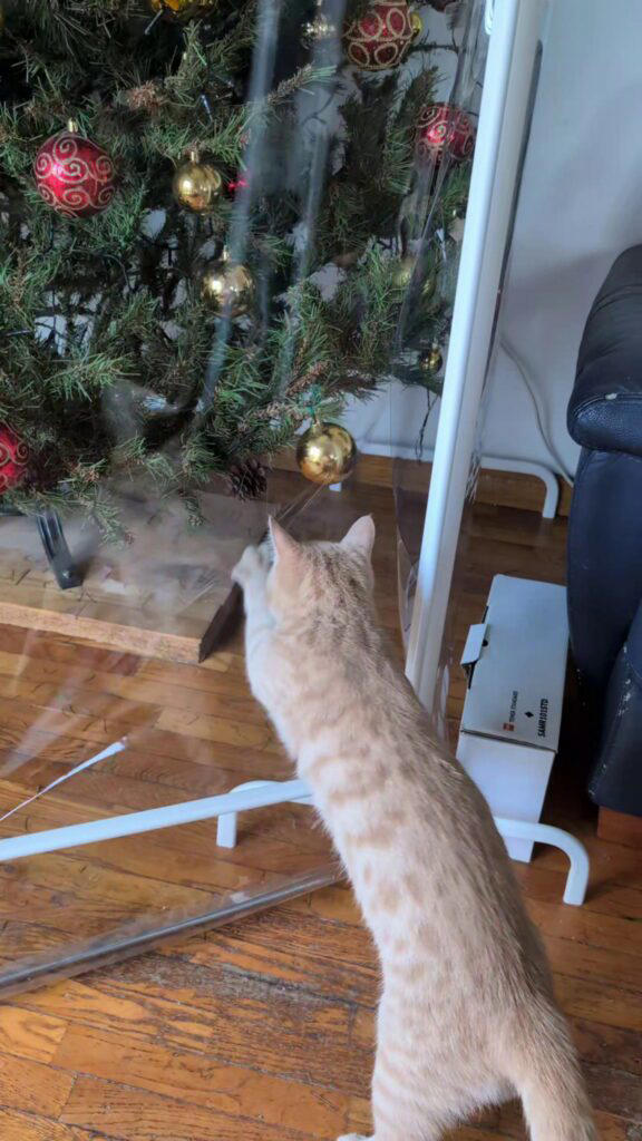 Naughty kitten destroys Christmas tree despite plastic tarp barrier