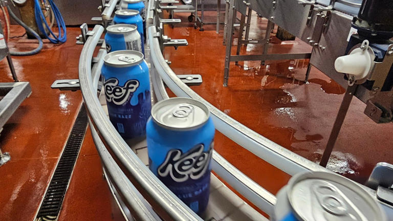 Democrats grapple with internal divisions heading into new year