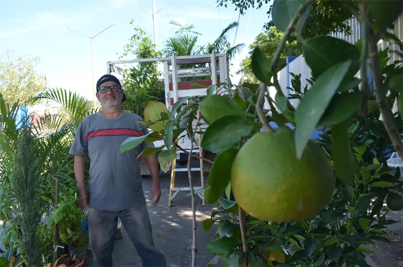 Entre árboles y plantas a sus 73 años, Elías Uribe siembra vida y ...