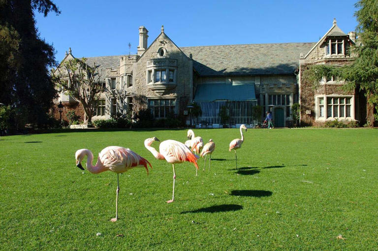 He was one of the last butlers at LA's Playboy Mansion. Here's what he saw.
