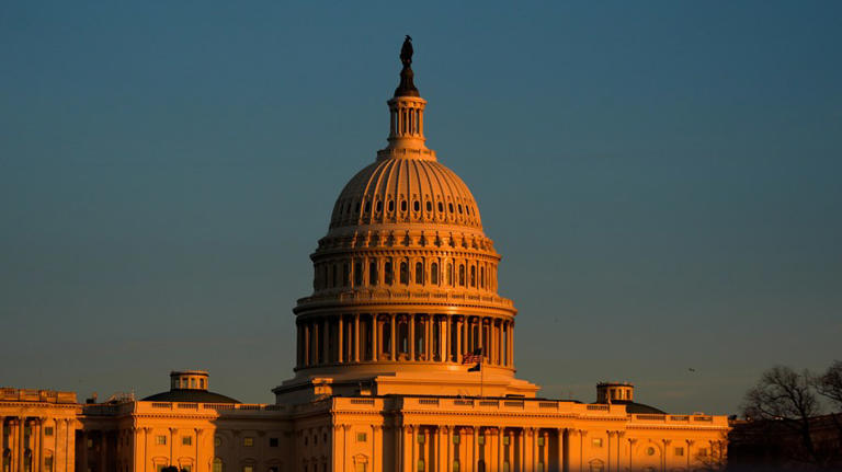 Democrats grapple with internal divisions heading into new year