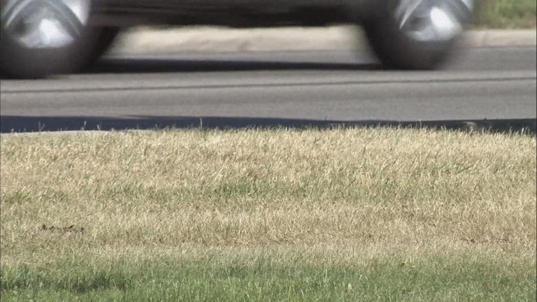 No white Christmas for Detroit: Mostly dry today and tomorrow aside ...