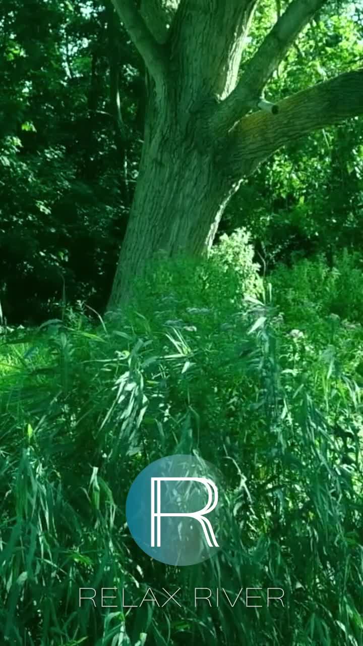 Easter is coming! 🐣🐣