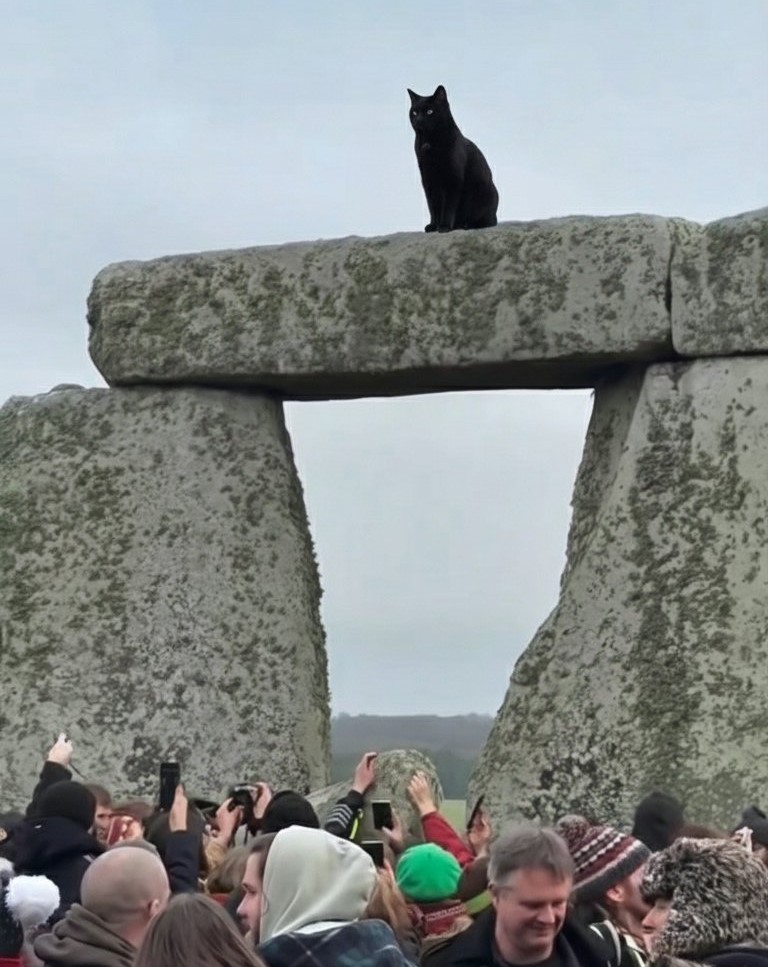 «Σπουδαίος οιωνός»: Η μαύρη γάτα που έκλεψε την παράσταση στο Στόουνχεντζ