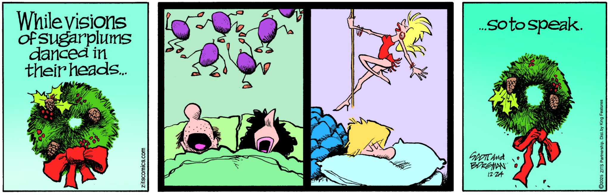 Zits by Jerry Scott and Jim Borgman