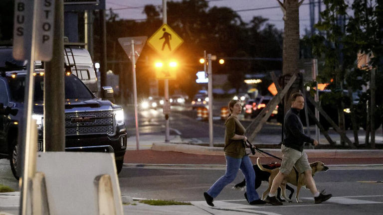 Florida writes fewer traffic tickets now. What that means for ...