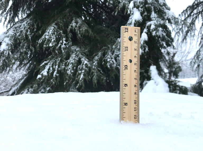 Expected snowfall this weekend: Totals for Monmouth, Ocean counties