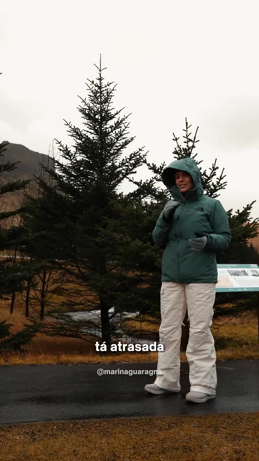 Viver sob o vulcão: o perigo silencioso de Vík Islândia