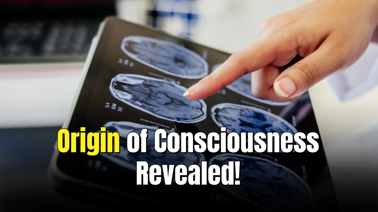MIT professor reveals the origin of consciousness and thought in the brain