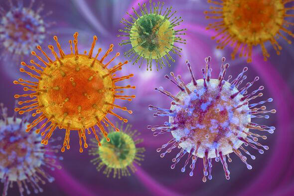 Deadly virus confirmed in Europe as WHO issues new warning 6 years ...