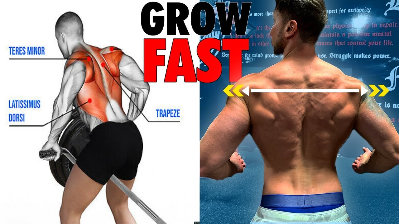 Best back exercises for building a wider and stronger back