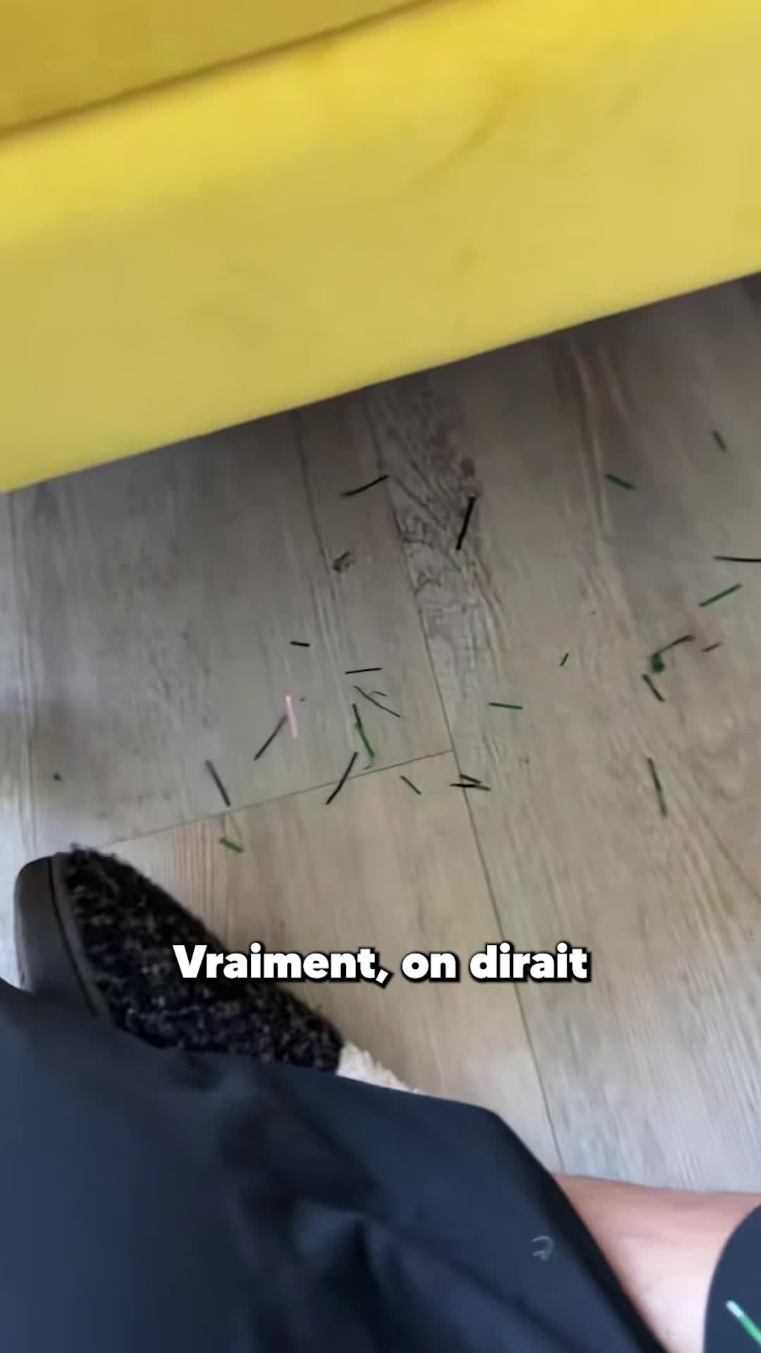 Le plus beau sapin de France… c’est le mien