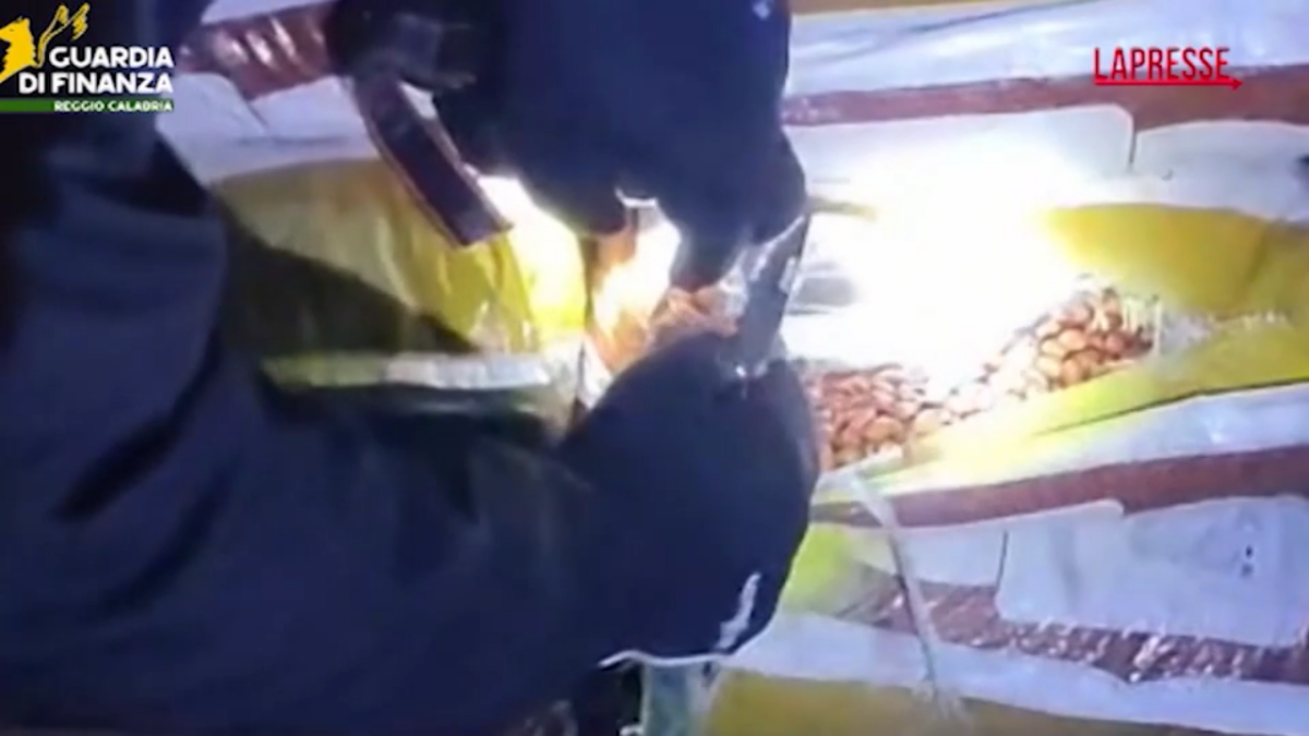 Maxi sequestro di cocaina a Gioia Tauro: 435 kg nascosti tra sacchi di ...