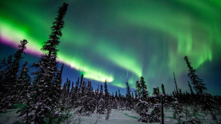 See nature’s original light shows—no tickets required