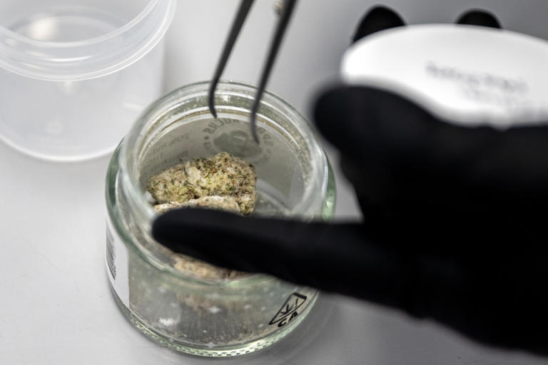 From undercover stings to a marijuana museum: Inside the haphazard ...