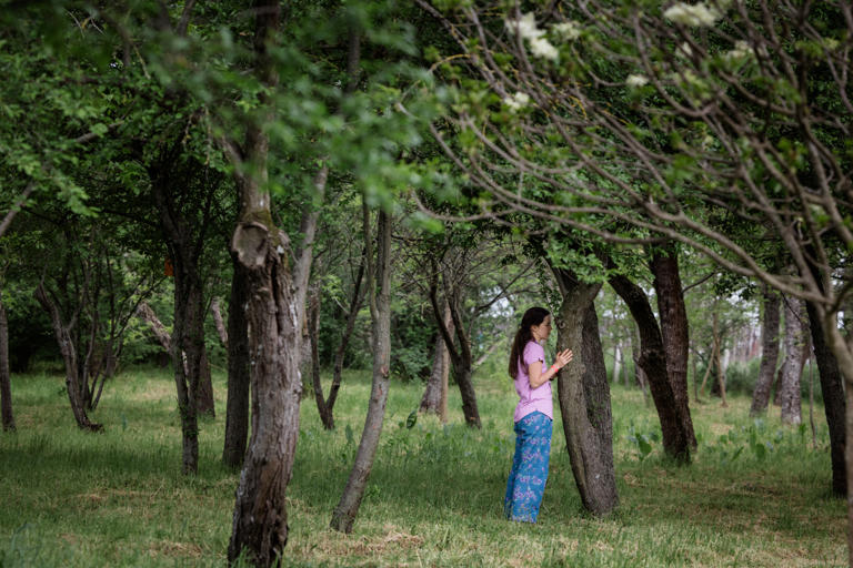 War-weary Ukrainians seek healing nature in their vast national parks