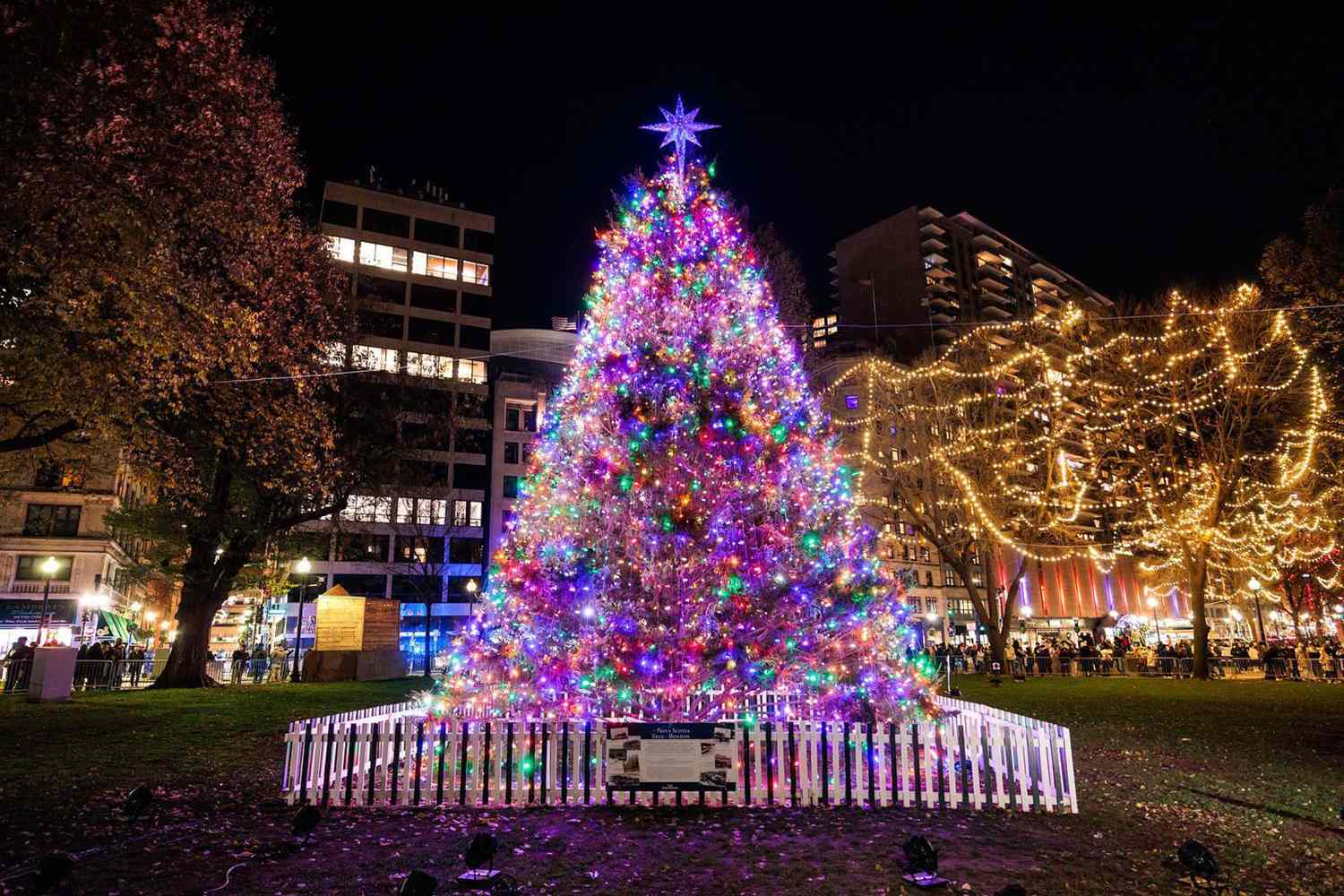 How a 1917 explosion that killed 2000 people sparked a Christmas tree ...