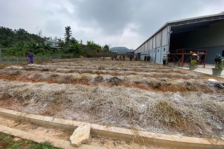 Công đoàn Công ty Yamazaki Việt Nam mở rộng vườn rau công đoàn