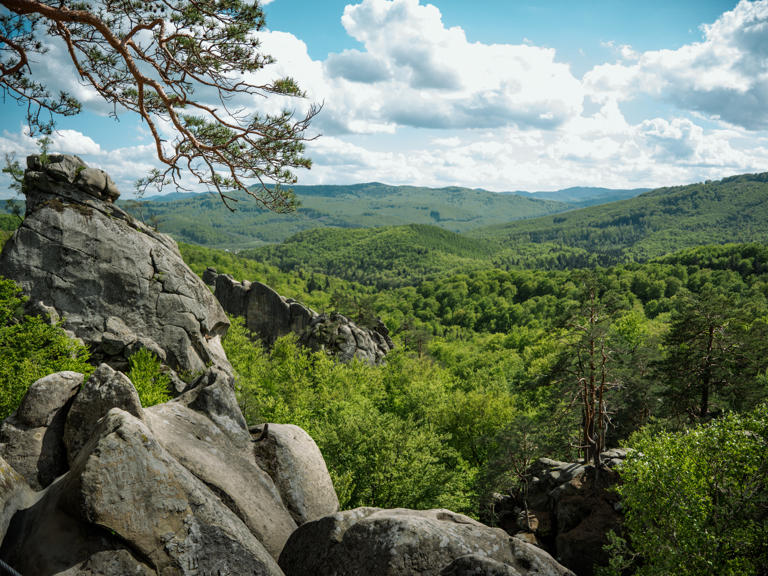 War-weary Ukrainians seek 'green' healing in their vast national parks