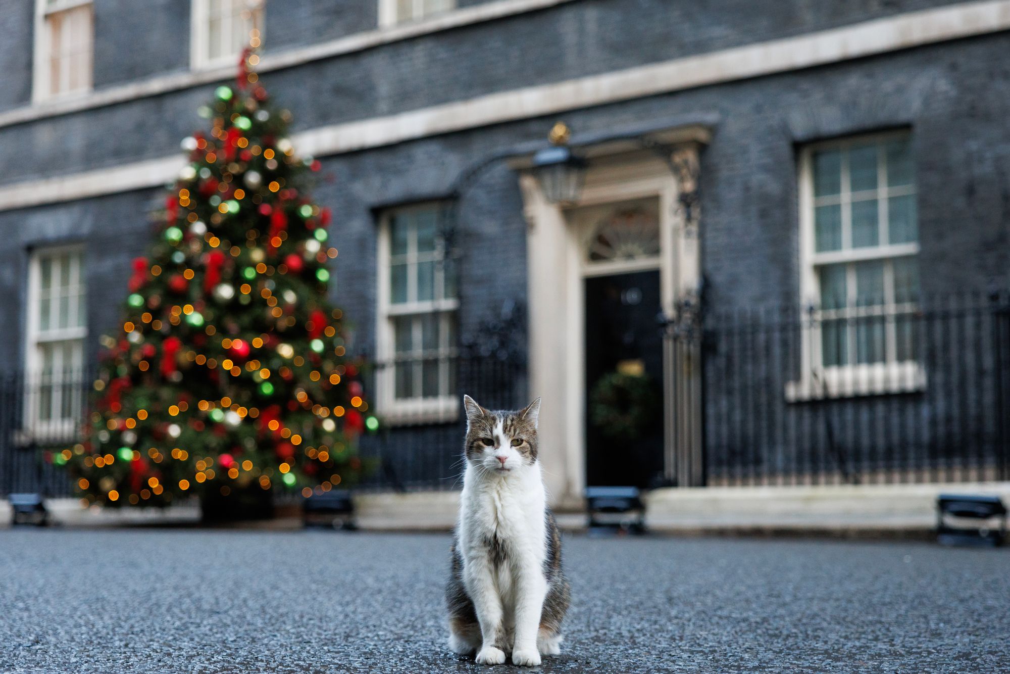 London weather: Here's the latest Christmas Day weather forecast for London