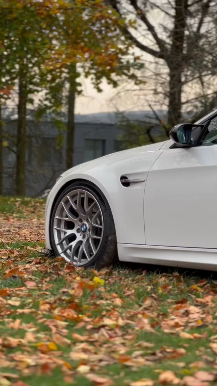 Something loud is going on back there