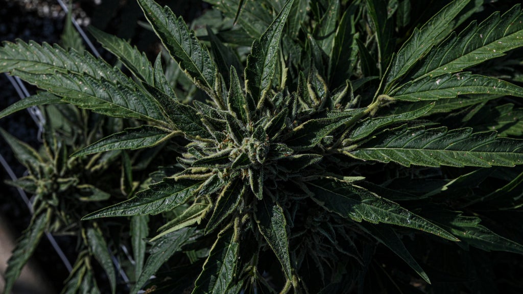 Howard County firefighters push for statewide off-duty, medical ...