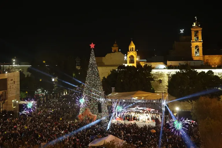 Diese Christbäume spenden Freude und Hoffnung